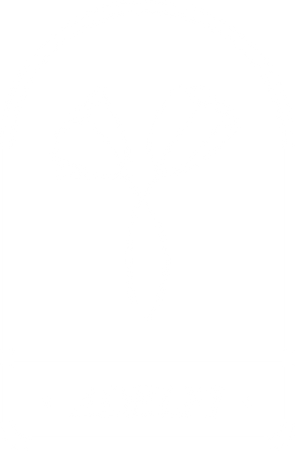 Snakes Notepad – Adelfi